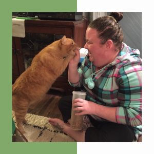 Cat Bug Out Bag - The Prepping Wife