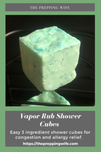 Easy 3 Ingredient Vapor Rub Shower Cubes - The Prepping Wife